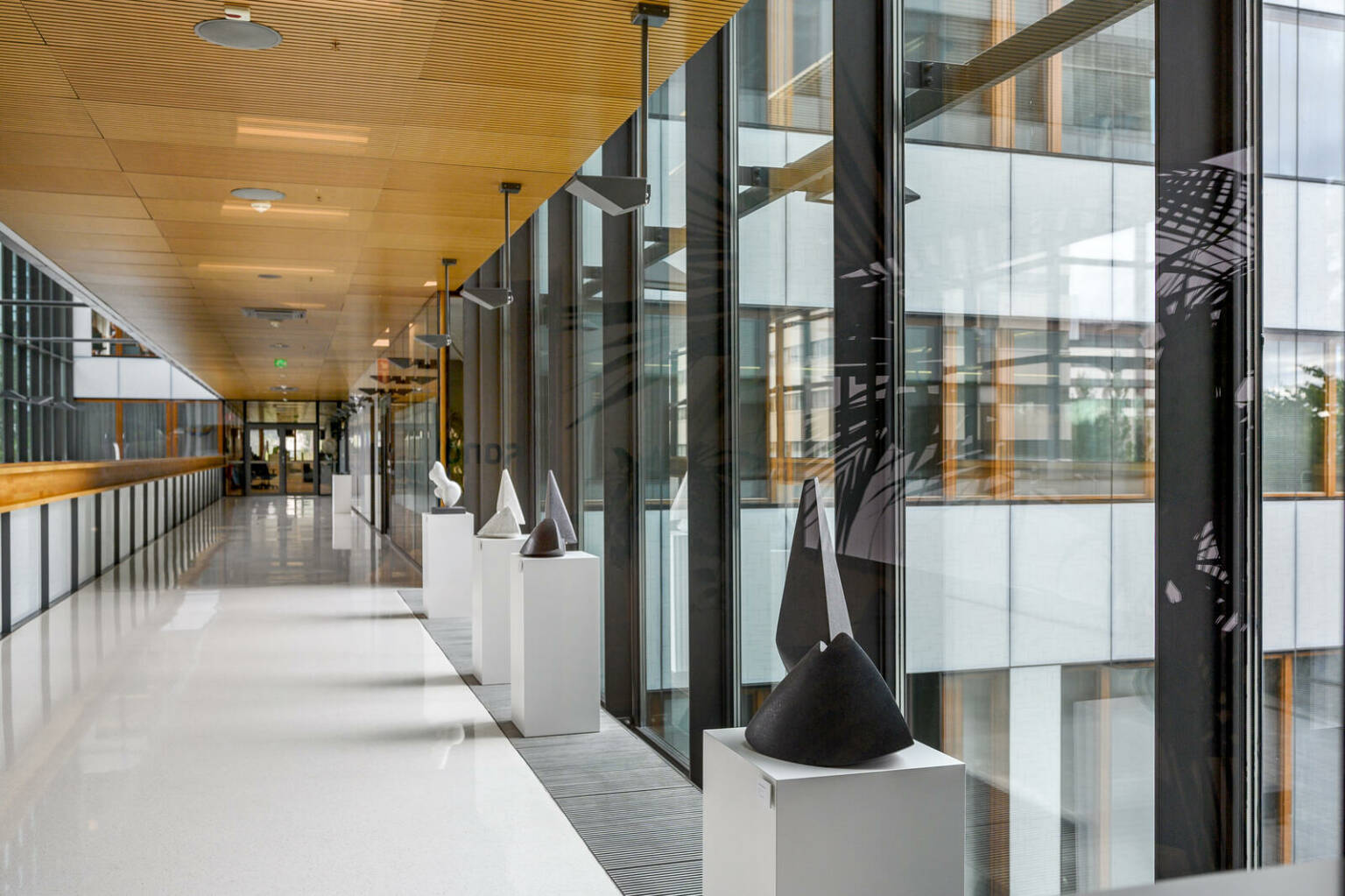 Tapiolan Hohka, Revontulenkuja, Espoo